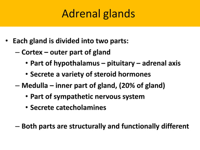 adrenal function tests.pptx