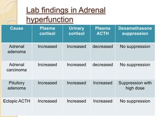 Adrenal Function Tests-3.pptxwhfbdqbfwwfjgwngnegenhndngssfb | PPTX