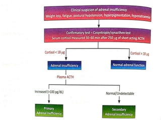 Adrenal Function Tests-3.pptxwhfbdqbfwwfjgwngnegenhndngssfb | PPTX
