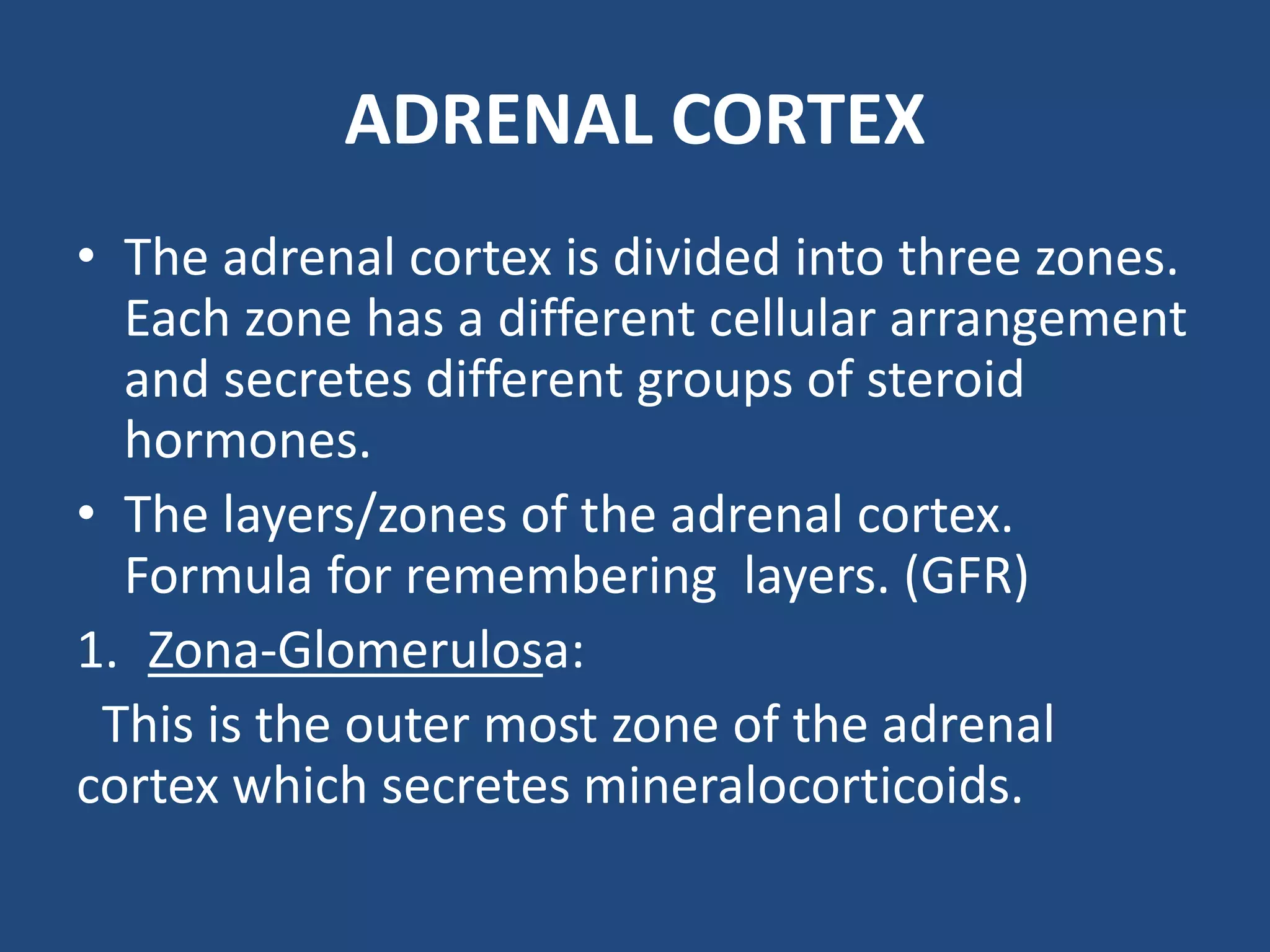 Adrenal gland | PPTX