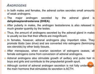Adrenal gland - Secretion, Function and Regulation | PPT