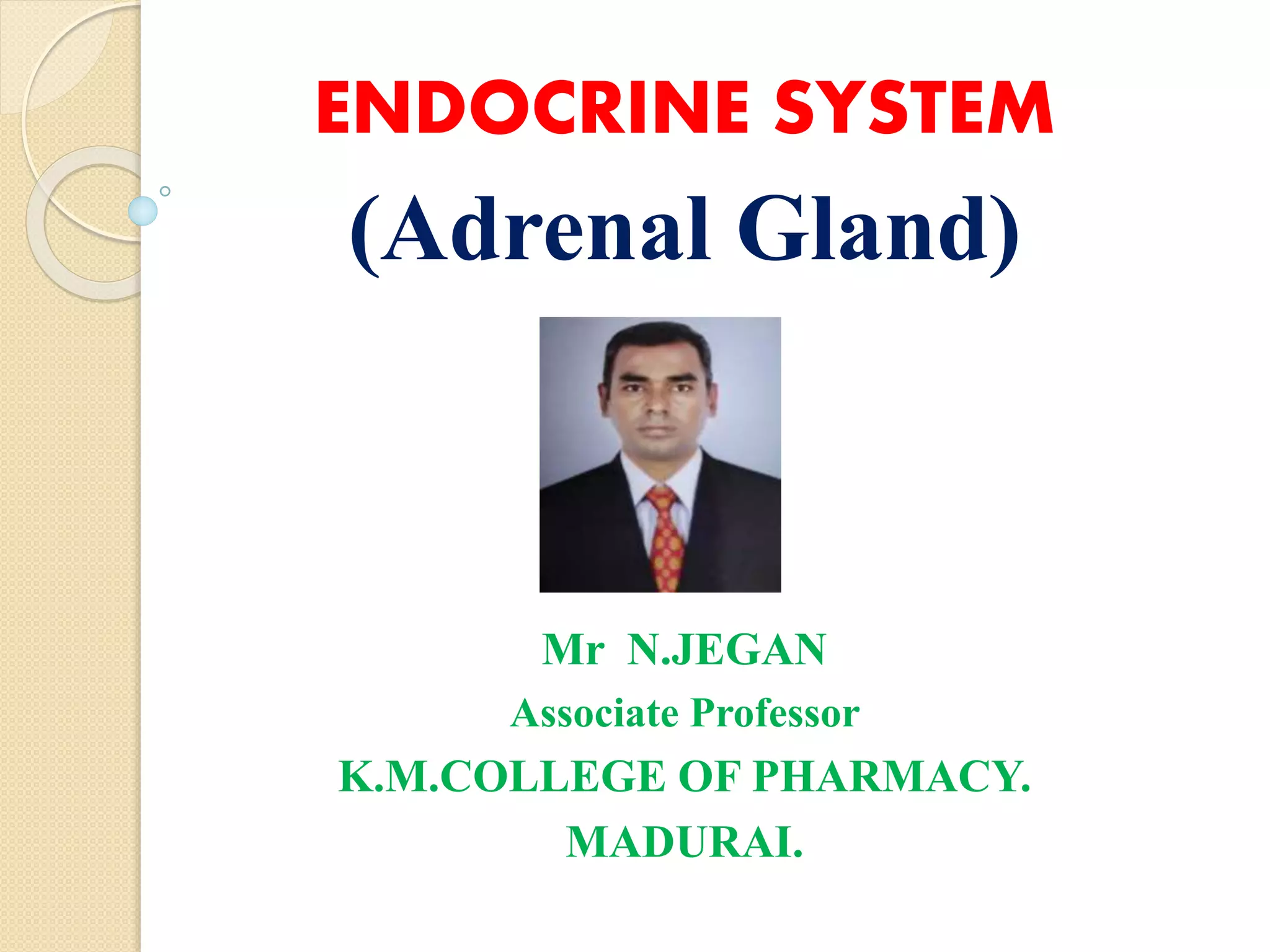 Adrenal gland | PPTX