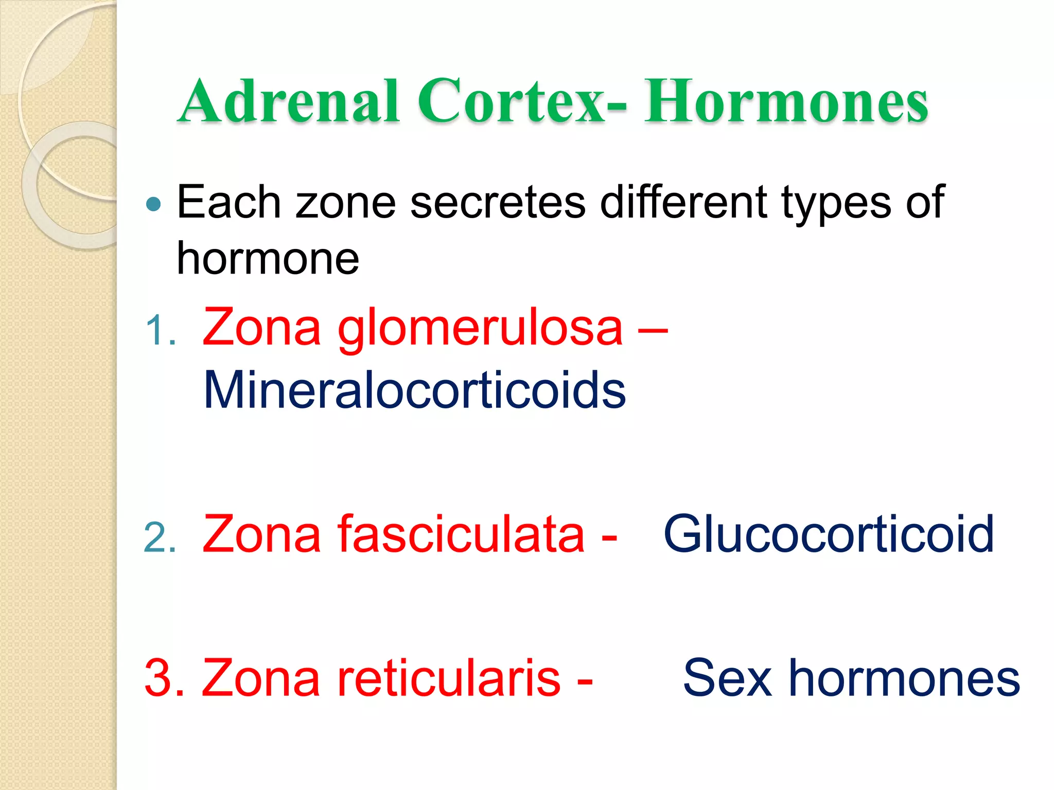 Adrenal gland | PPTX