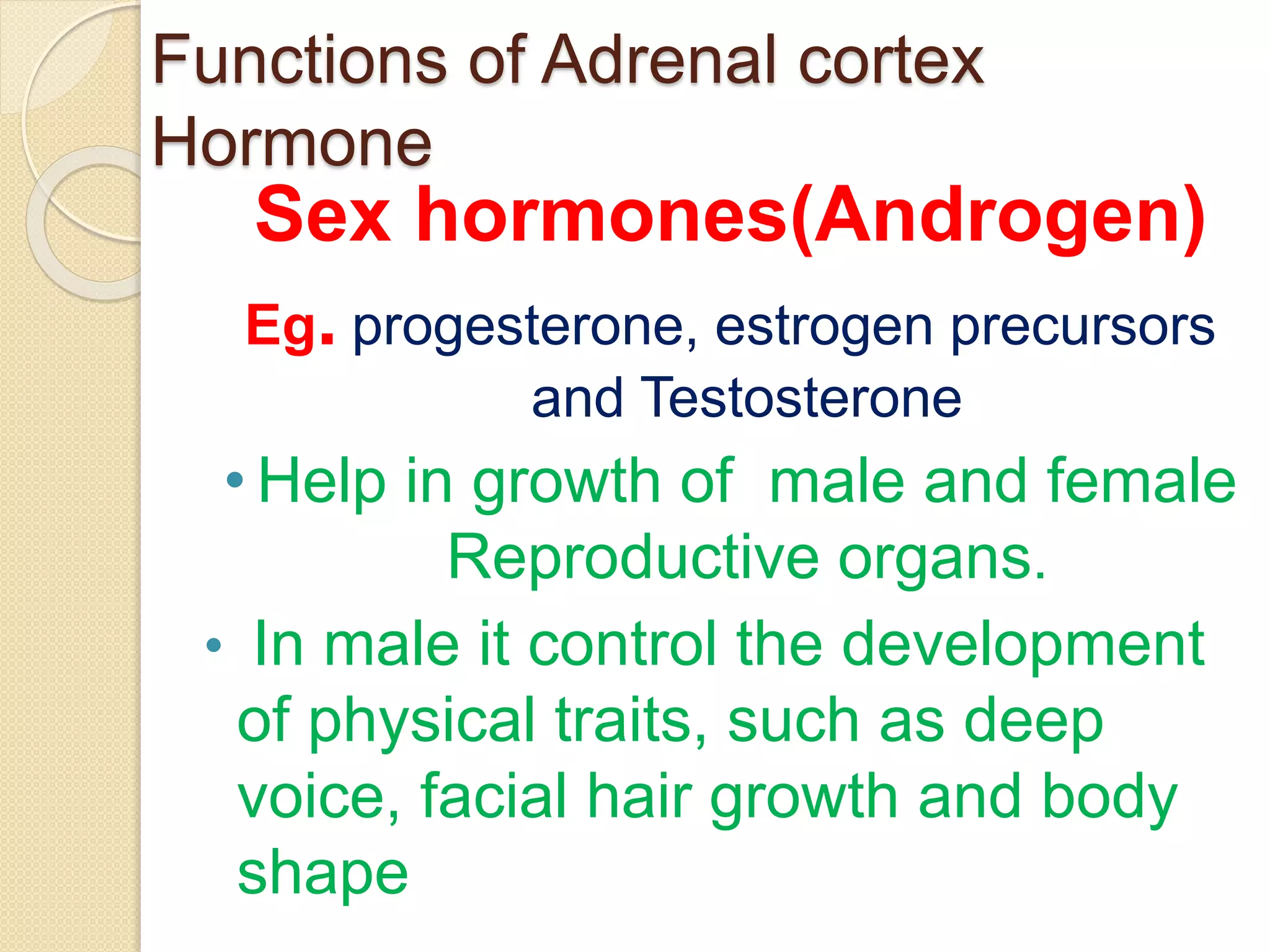 Adrenal gland | PPTX