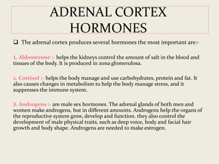 Adrenal gland | PPTX
