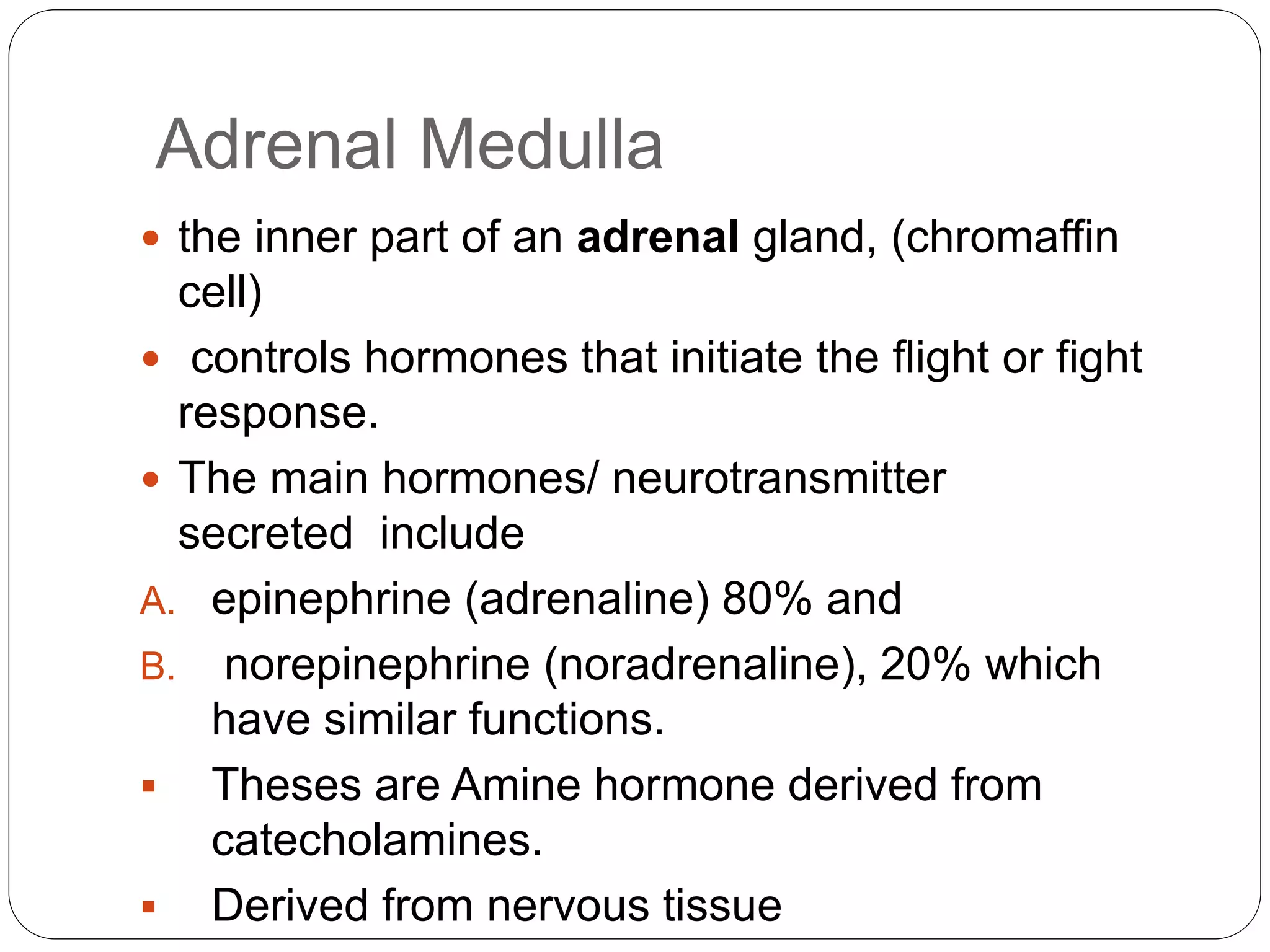 Adrenal gland | PPTX