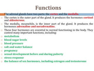 Adrenal gland | PPT