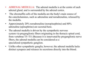 ADRENAL GLAND.pptx