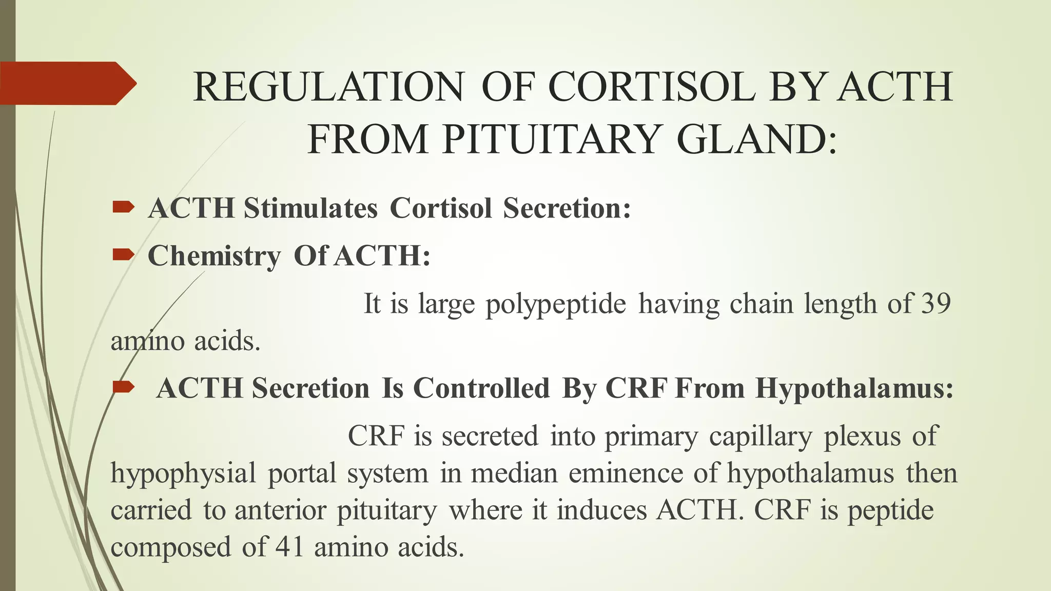 ADRENAL GLAND.pdf