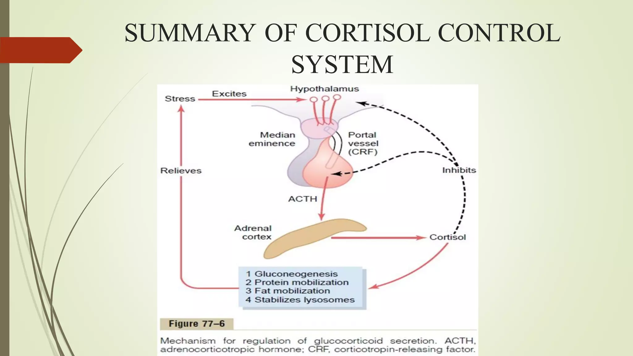 ADRENAL GLAND.pdf