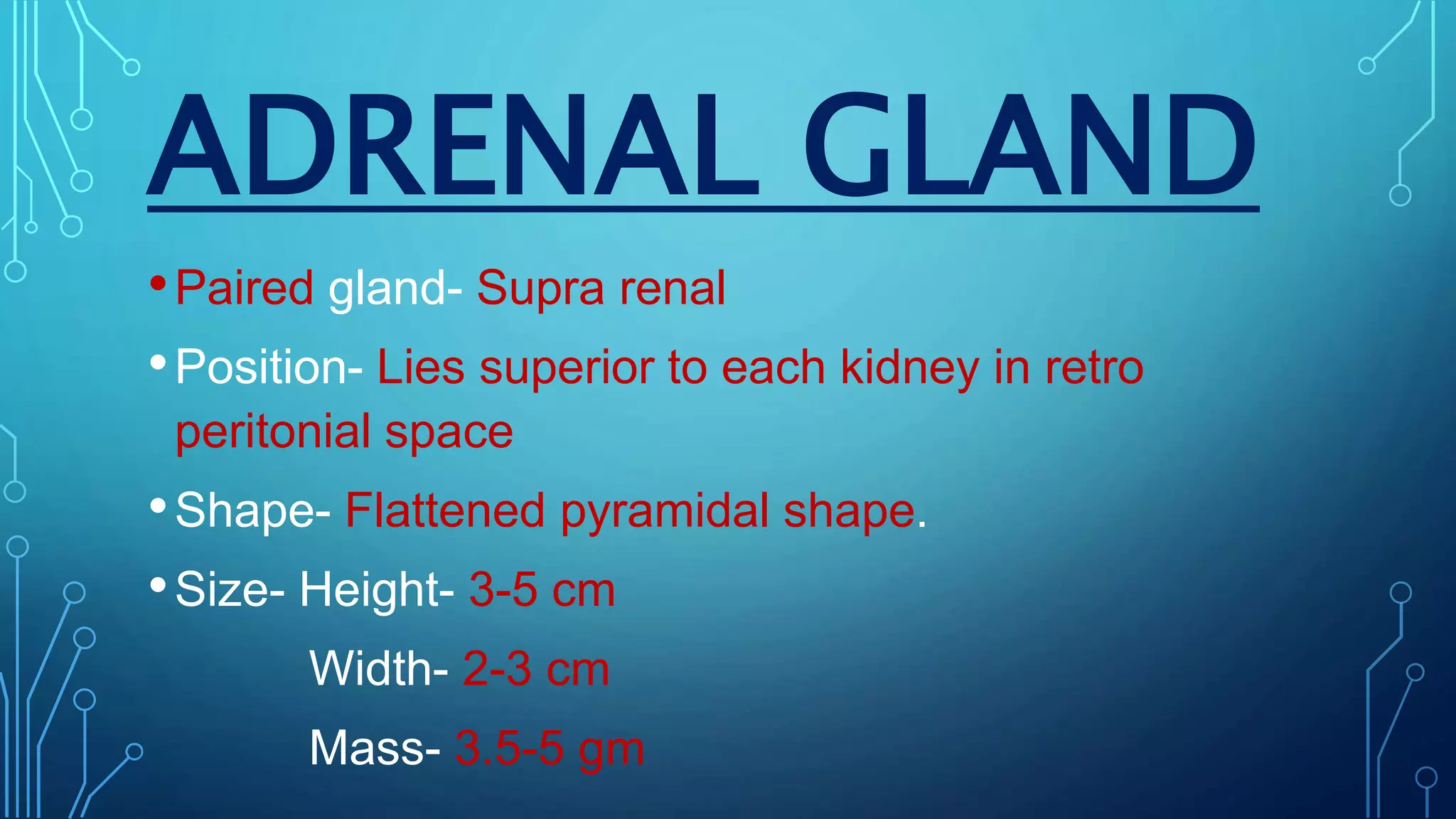 ADRENAL GLAND .pptx