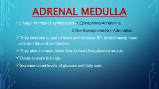 ADRENAL GLAND .pptx