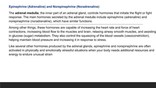 ADRENAL GLAND.pptxyfyfyfytfytfytftyftyftyfytfytfy | PPTX