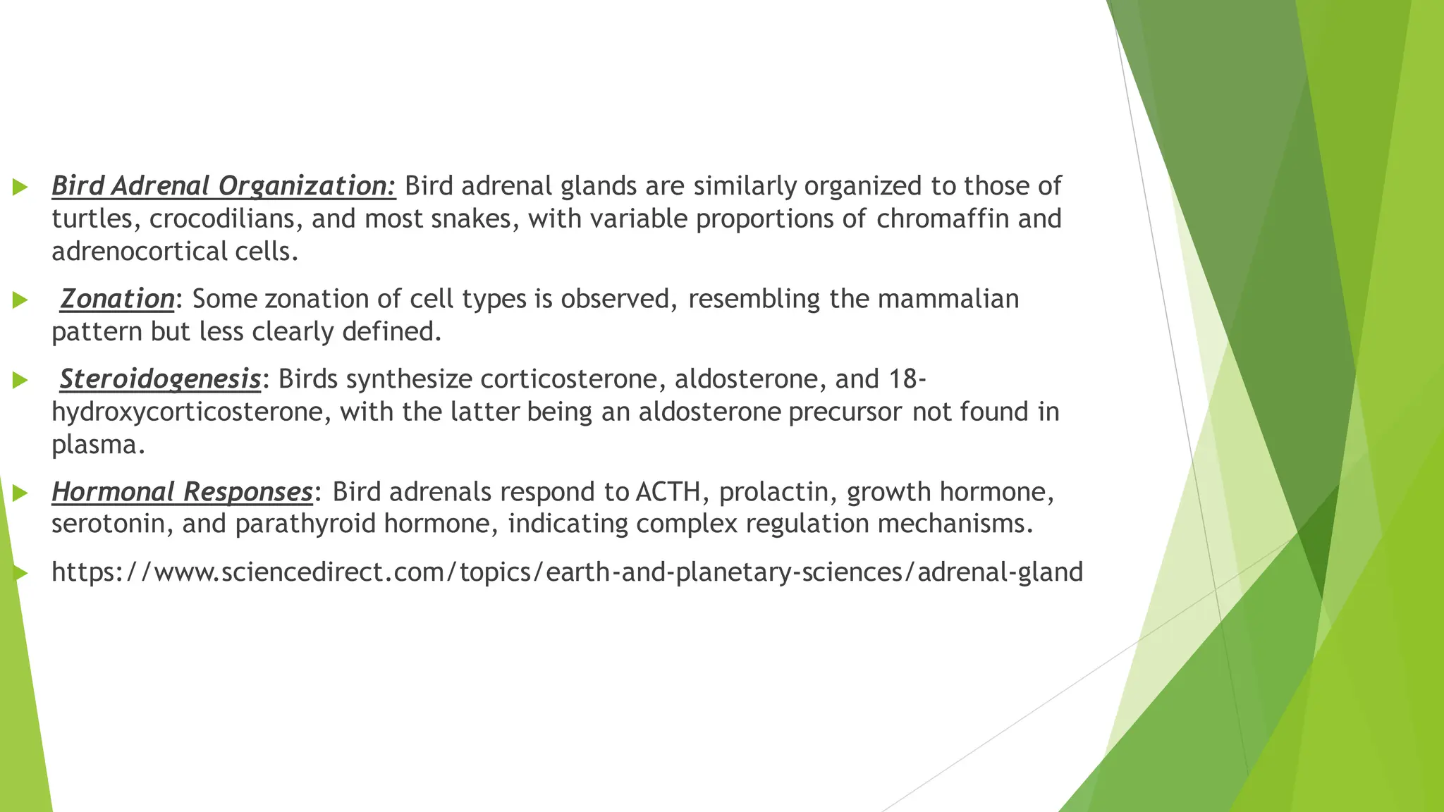 Comparative structure of adrenal gland in vertebrates | PDF
