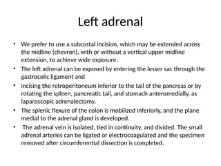 adrenal glands applied anatomy and adrenalectomy | PPTX