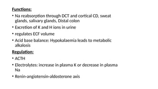 Adrenal gland notes with proper description | PPTX