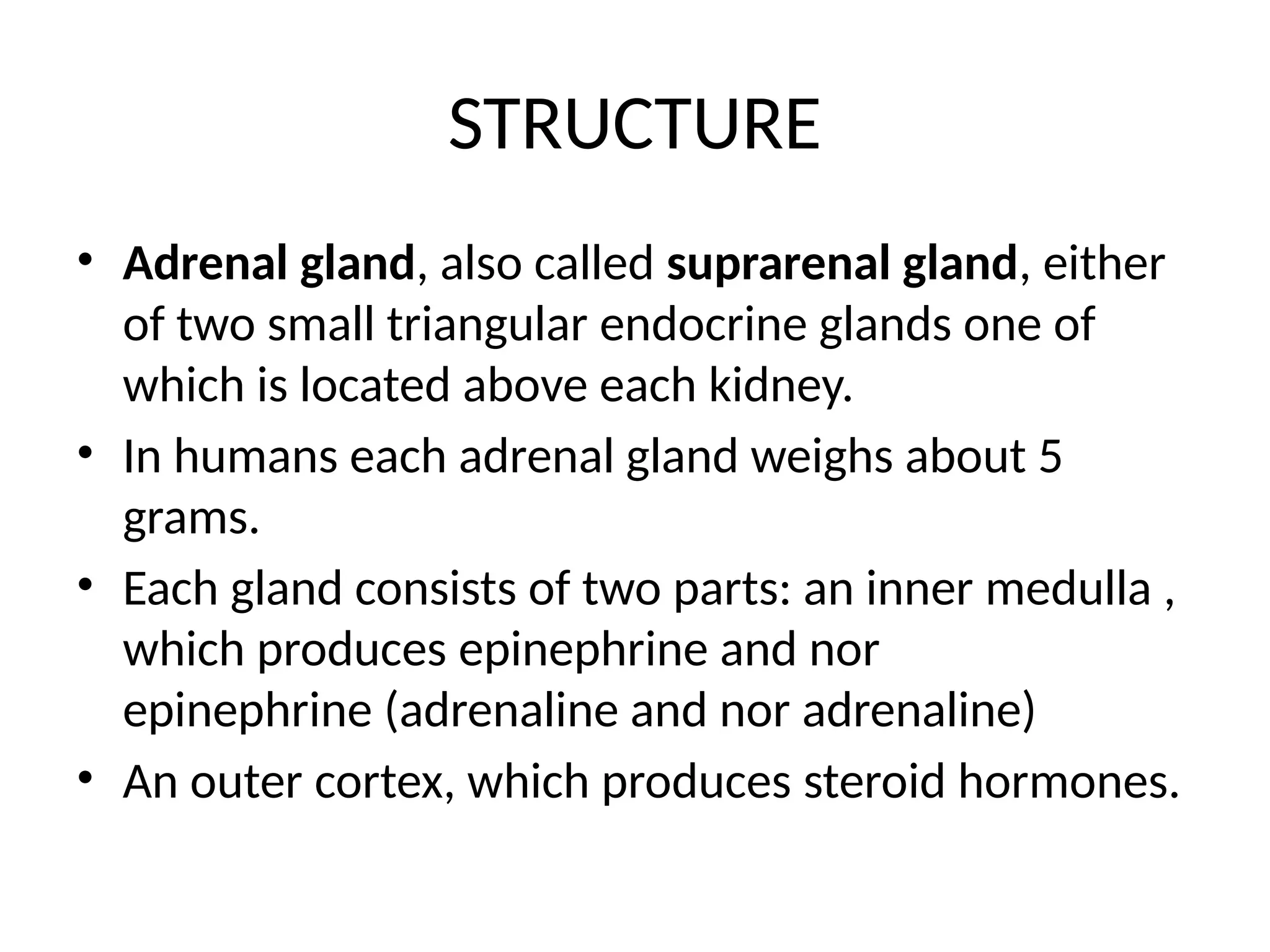 ADRENAL GLAND in humans systems .pptx