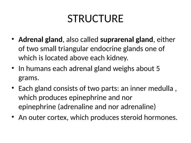 ADRENAL GLAND in humans systems .pptx