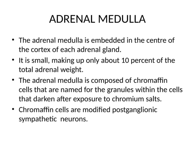 ADRENAL GLAND in humans systems .pptx