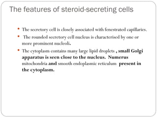 adrenal gland anatomy and histology .ppt