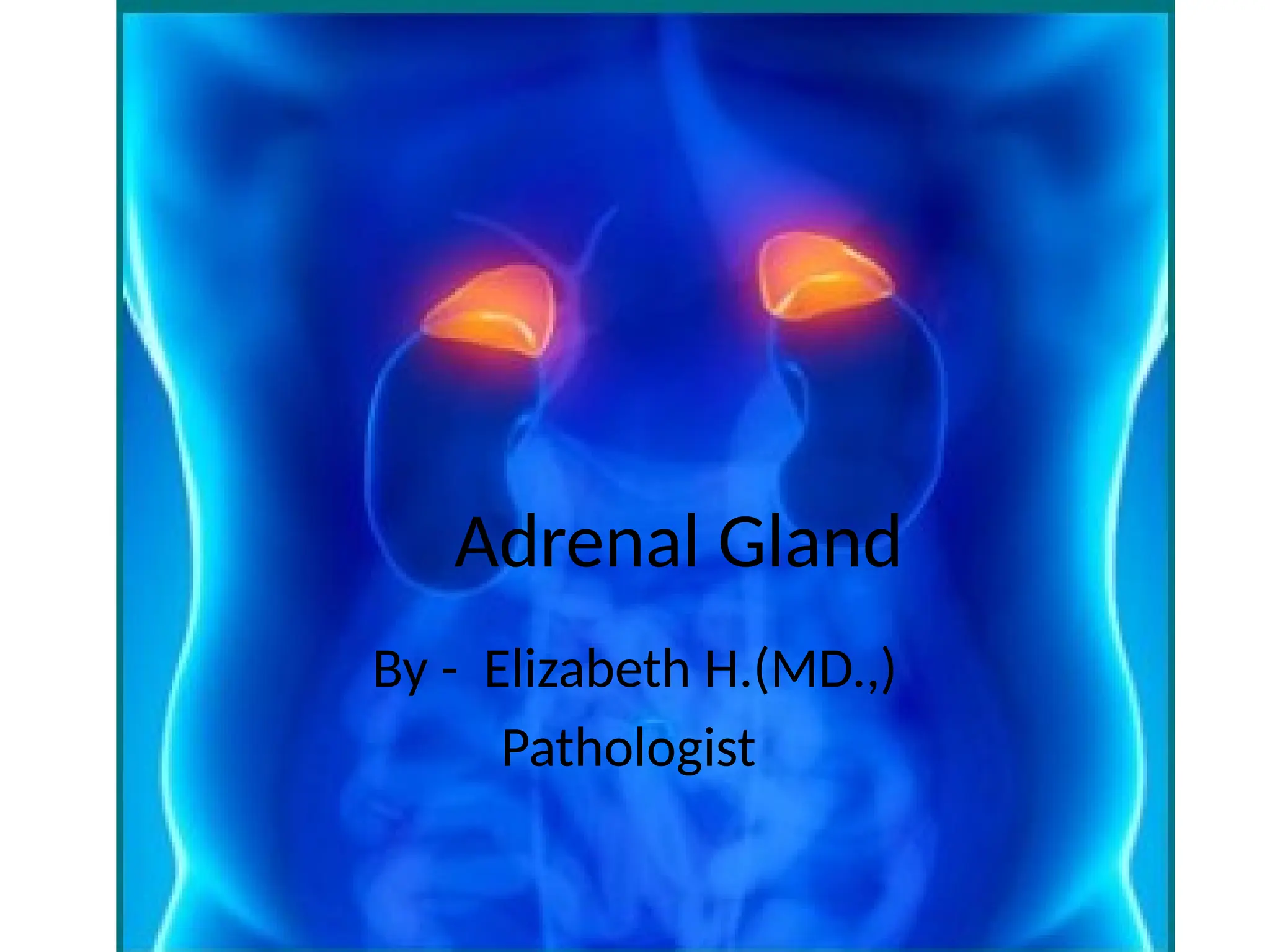 Adrenal Gland and its pathology and disease | PPTX