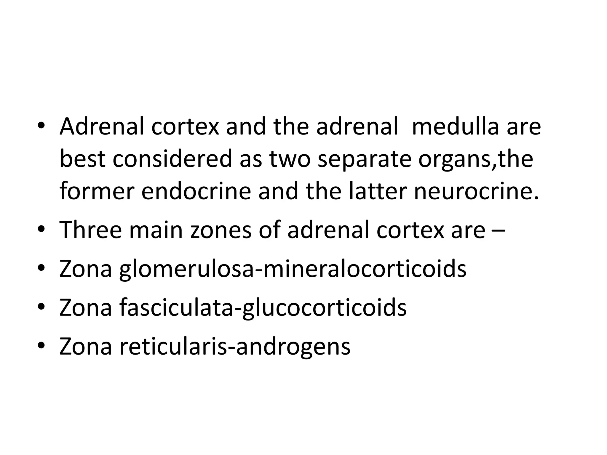 Adrenal gland physiology | PPTX