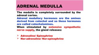 ADRENAL GLAND, ADRENAL CORTEX & ADRENAL MEDULLA.pptx