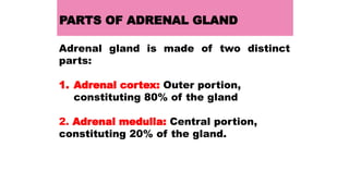 ADRENAL GLAND, ADRENAL CORTEX & ADRENAL MEDULLA.pptx