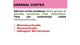 ADRENAL GLAND, ADRENAL CORTEX & ADRENAL MEDULLA.pptx