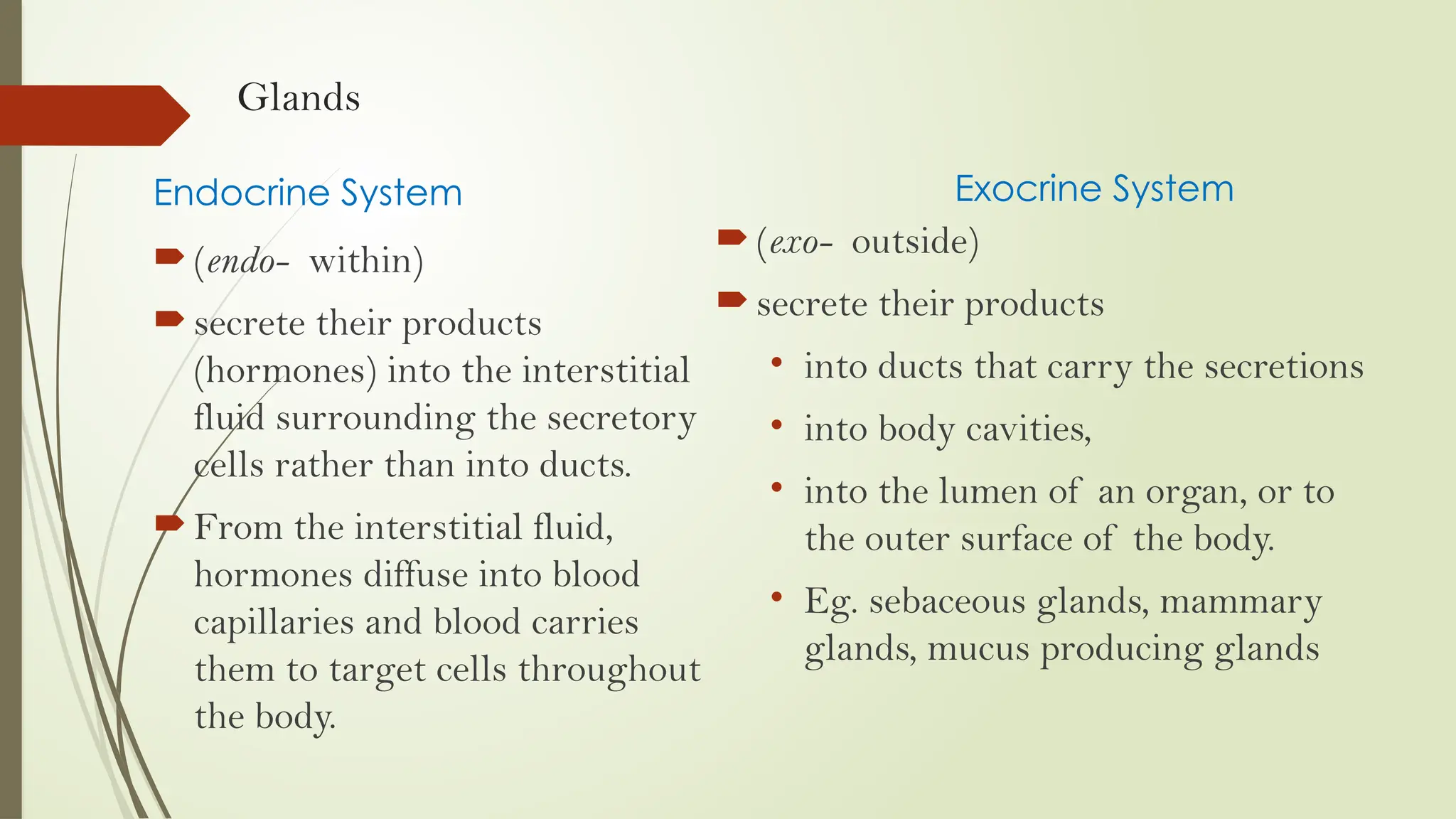Adrenal Gland ENDOCRINE AND EXOCRINE SYSTEMS | PPT