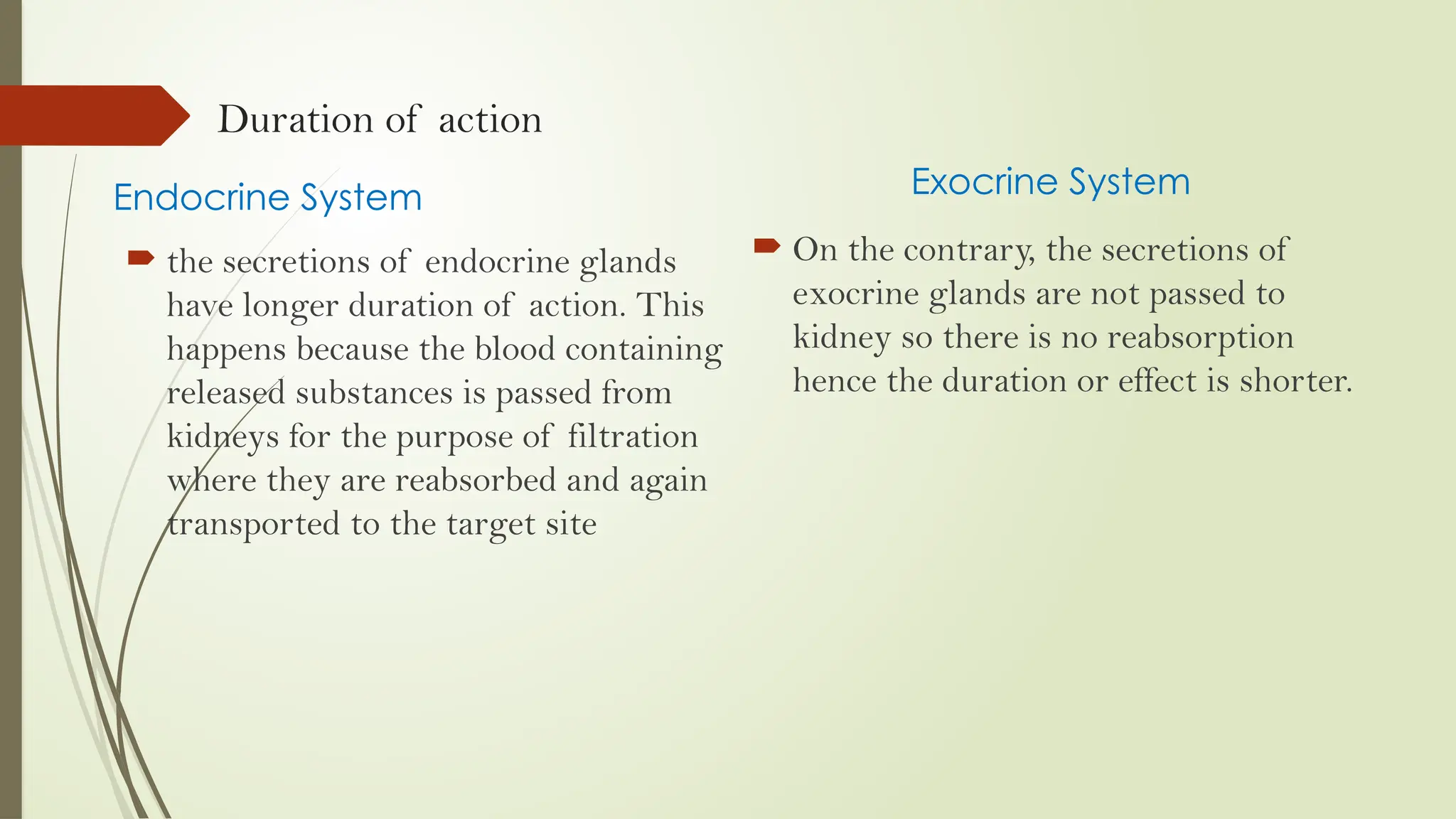 Adrenal Gland ENDOCRINE AND EXOCRINE SYSTEMS | PPTX