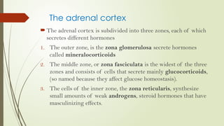 Adrenal Gland ENDOCRINE AND EXOCRINE SYSTEMS | PPTX