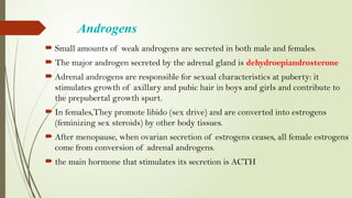 Adrenal Gland ENDOCRINE AND EXOCRINE SYSTEMS | PPT