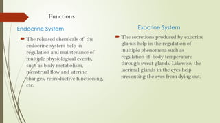 Adrenal Gland ENDOCRINE AND EXOCRINE SYSTEMS | PPT