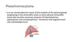 Adrenal gland diseases,Cushing syndrome,Addison disease and ...