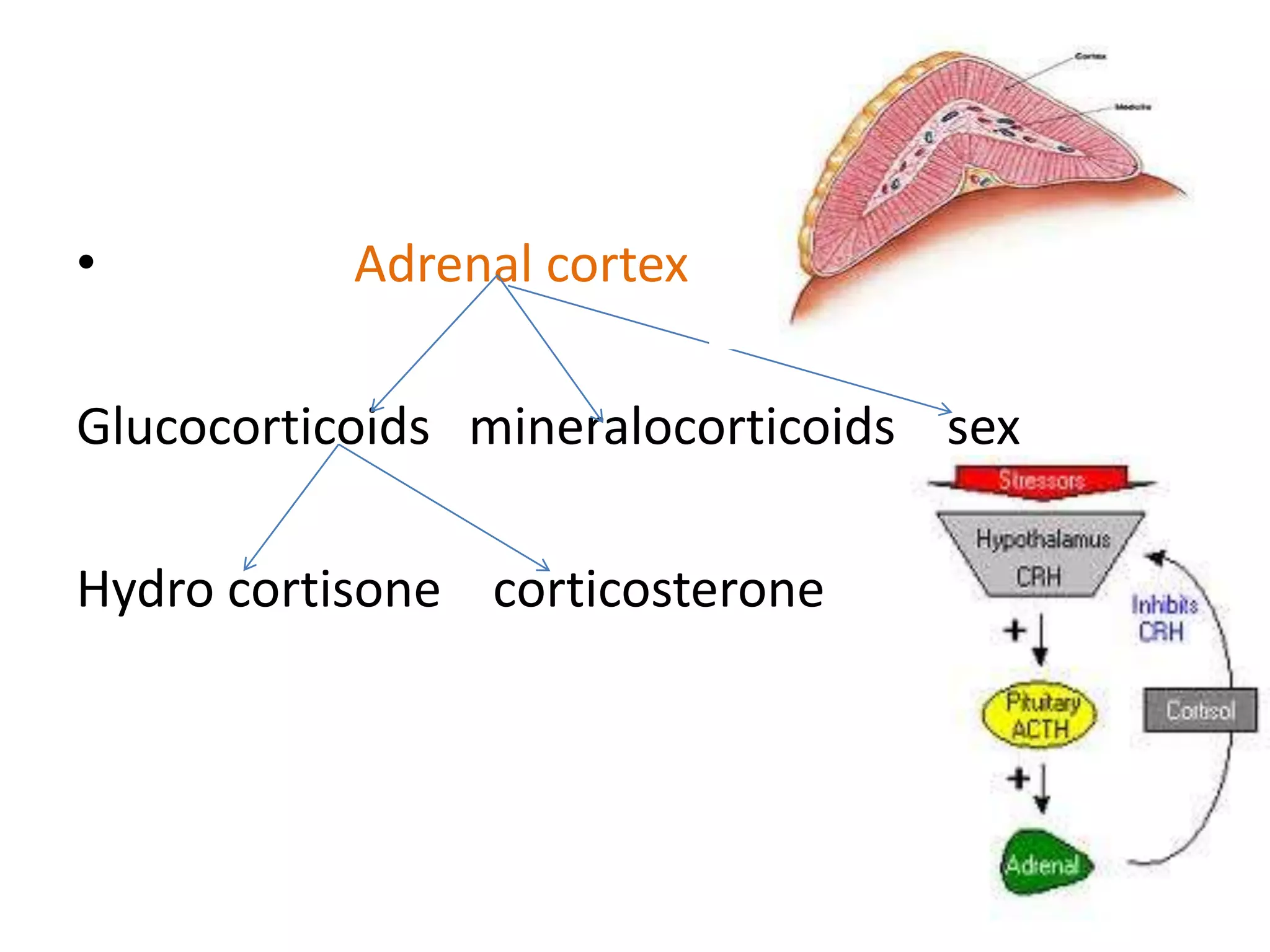 Adrenal gland disorders | PPTX