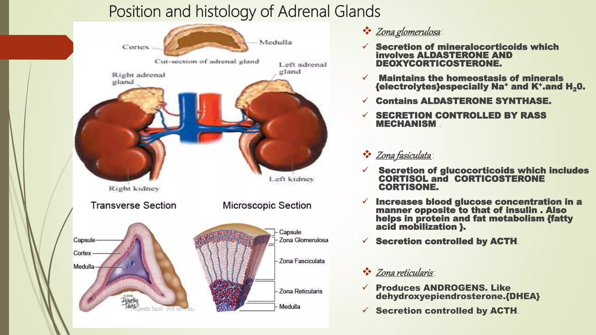 Adrenal Gland Disorders Pptx