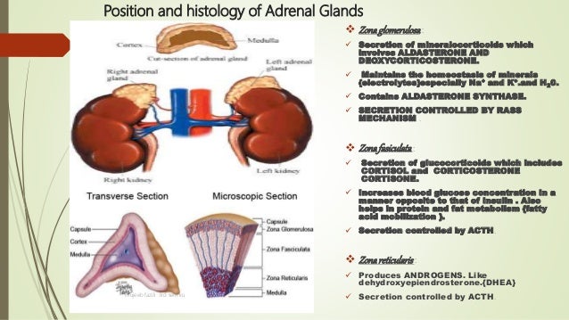 Adrenal gland disorders