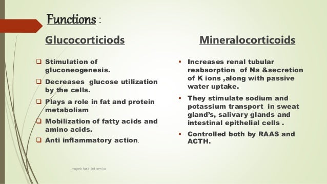 Adrenal Gland Disorders Jesvintage