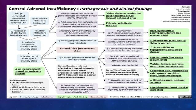 Adrenal gland disorders.types ,diagnosis and treatment | PPTX