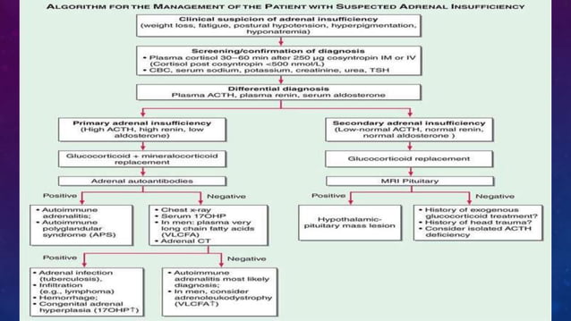 Adrenal gland disorders.types ,diagnosis and treatment | PPTX