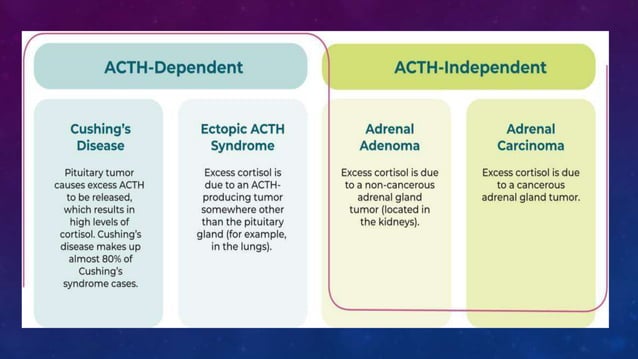 Adrenal gland disorders.types ,diagnosis and treatment | PPTX