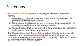 "Adrenal Gland Disorders - Comprehensive Overview" - by Dr. Bodhisatwa ...