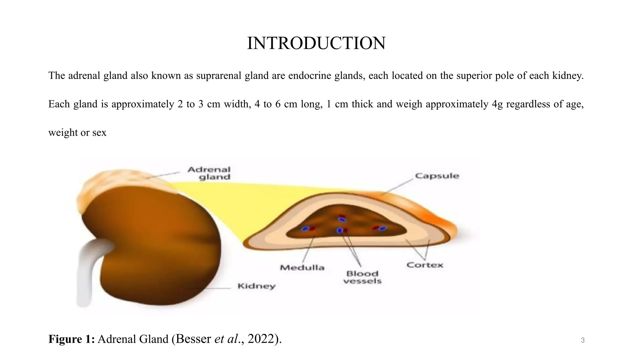 ADRENAL GLAND DISORDERS AND ASSESSMENT.pptx