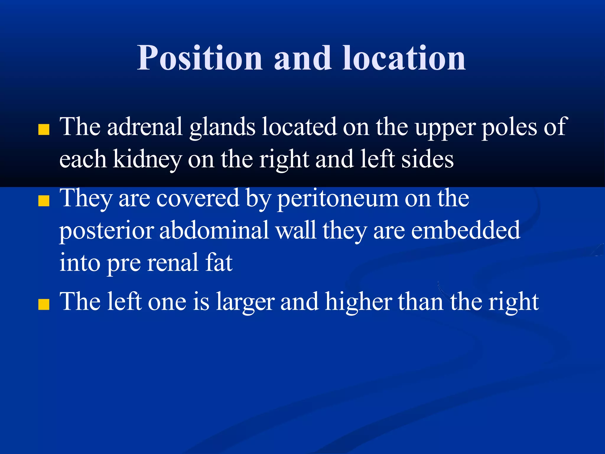 Adrenal gland gross anatomy ppt.pptx