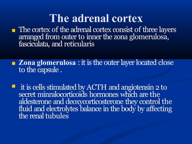 Adrenal gland gross anatomy ppt.pptx