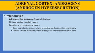 Adrenal gland physiology | PPT