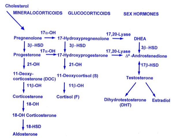 Adrenal glands
