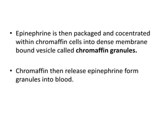 Adrenal glands | PPTX