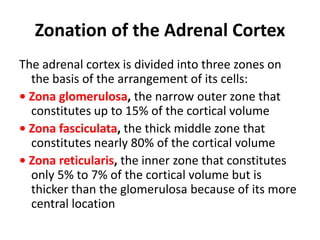 HISTOLOGY OF ADRENAL GLANDS | PPTX